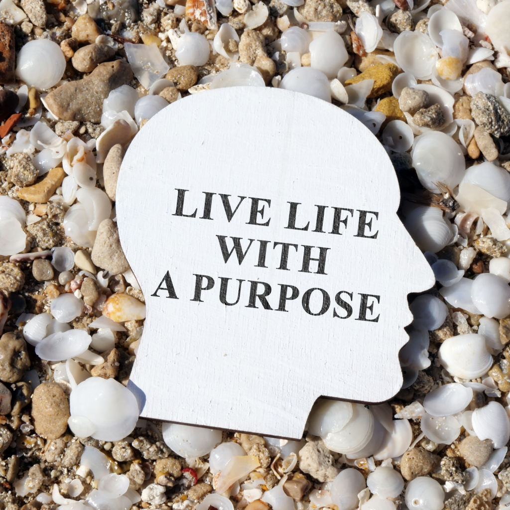 Living with Purpose: Embracing Meaning and Fulfillment in Everyday Life ...